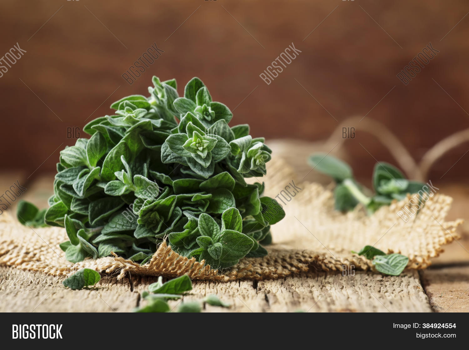 Fresh Green Oregano Image & Photo (Free Trial) | Bigstock