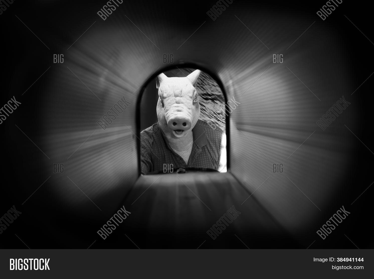 Halloween Pig Man Image & Photo (Free Trial) | Bigstock