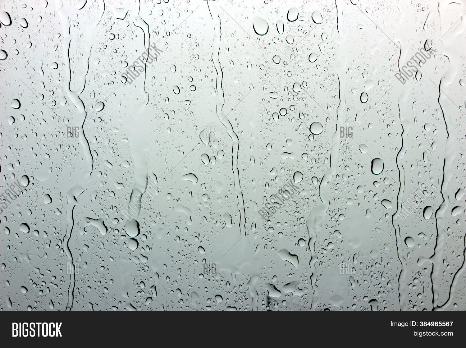 Small Raindrop Rests Image & Photo (Free Trial) | Bigstock