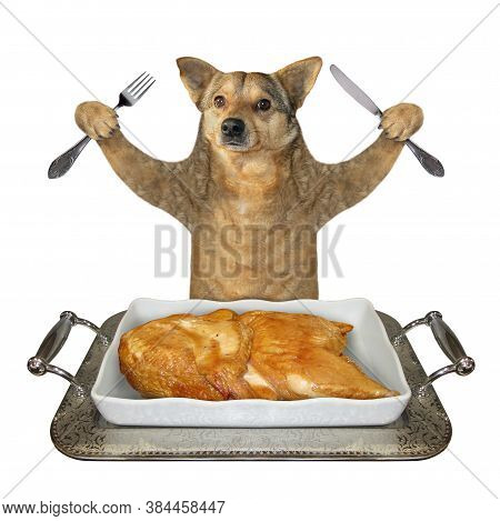 Beige Dog Knife Fork Image & Photo (Free Trial) | Bigstock