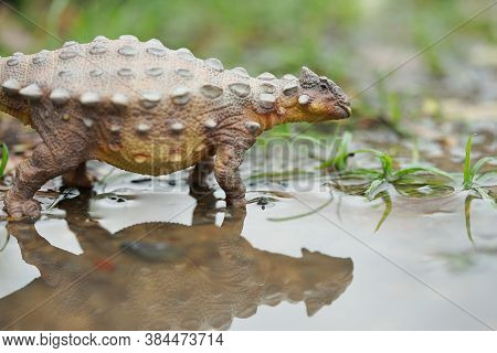 Ankylosaurus Herbivore Image & Photo (Free Trial) | Bigstock