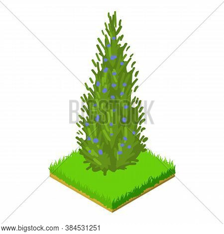 Thuja Icon. Isometric Vector & Photo (Free Trial) | Bigstock