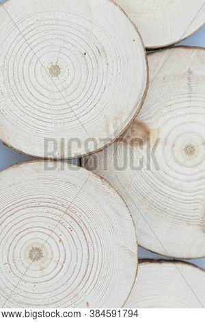 Wooden Oak Tree Cut Image & Photo (Free Trial) | Bigstock