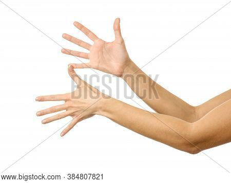 Two-handed Gesture. Image & Photo (Free Trial) | Bigstock