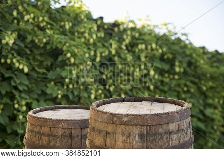 Still Life Keg Beer Image & Photo (Free Trial) | Bigstock