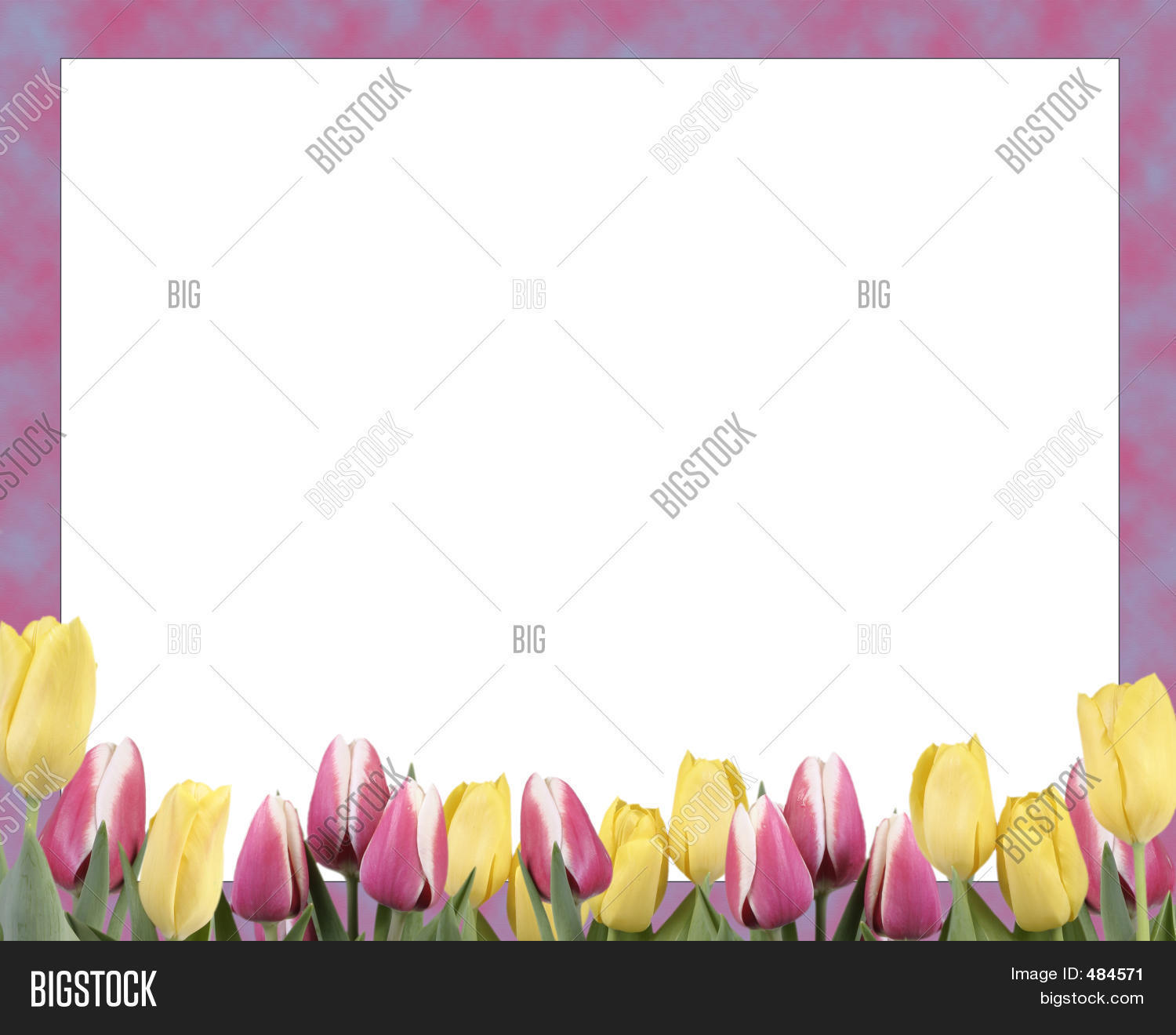 Tulip Border Image & Photo (Free Trial) | Bigstock