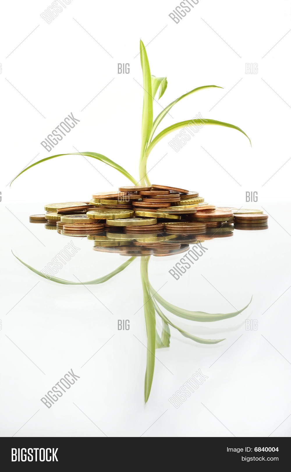 Money River Image & Photo (Free Trial) | Bigstock