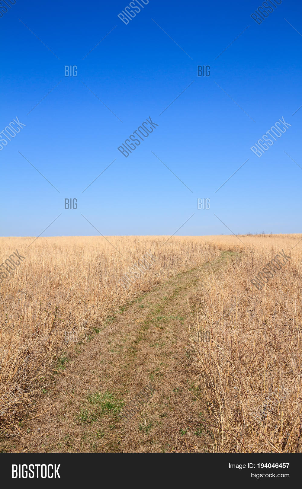 Pathway Leading Image & Photo (Free Trial) | Bigstock