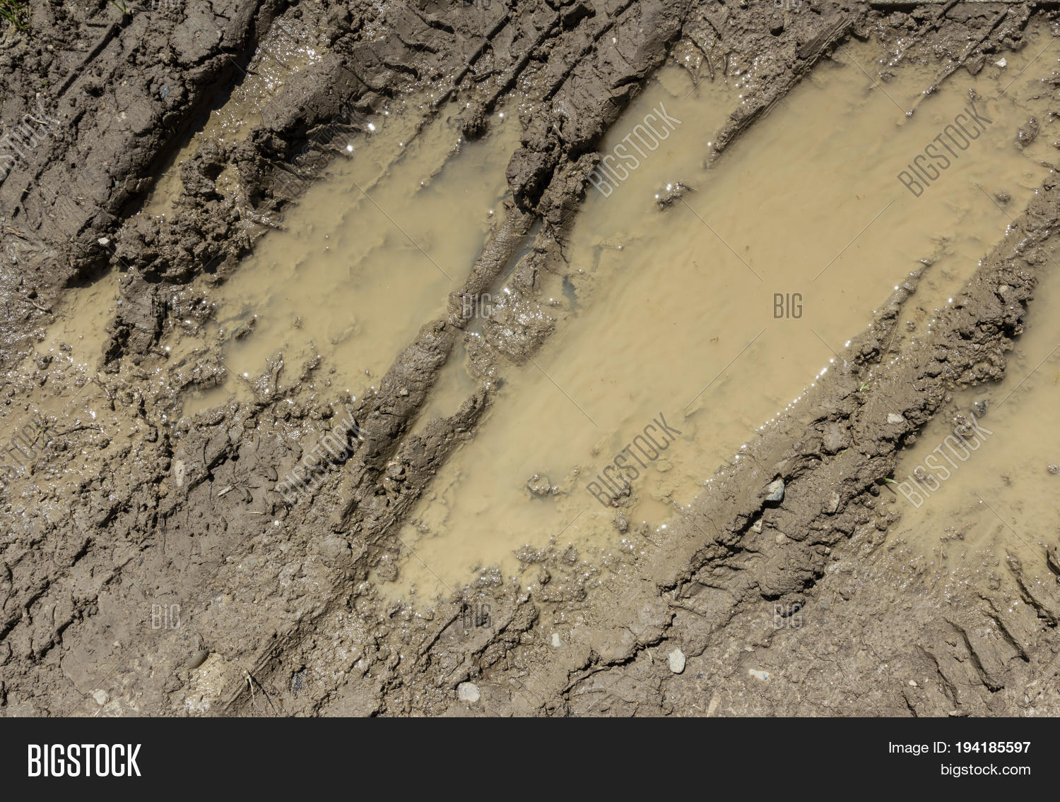 Texture Mud. Wet Dirt Image & Photo (Free Trial) | Bigstock