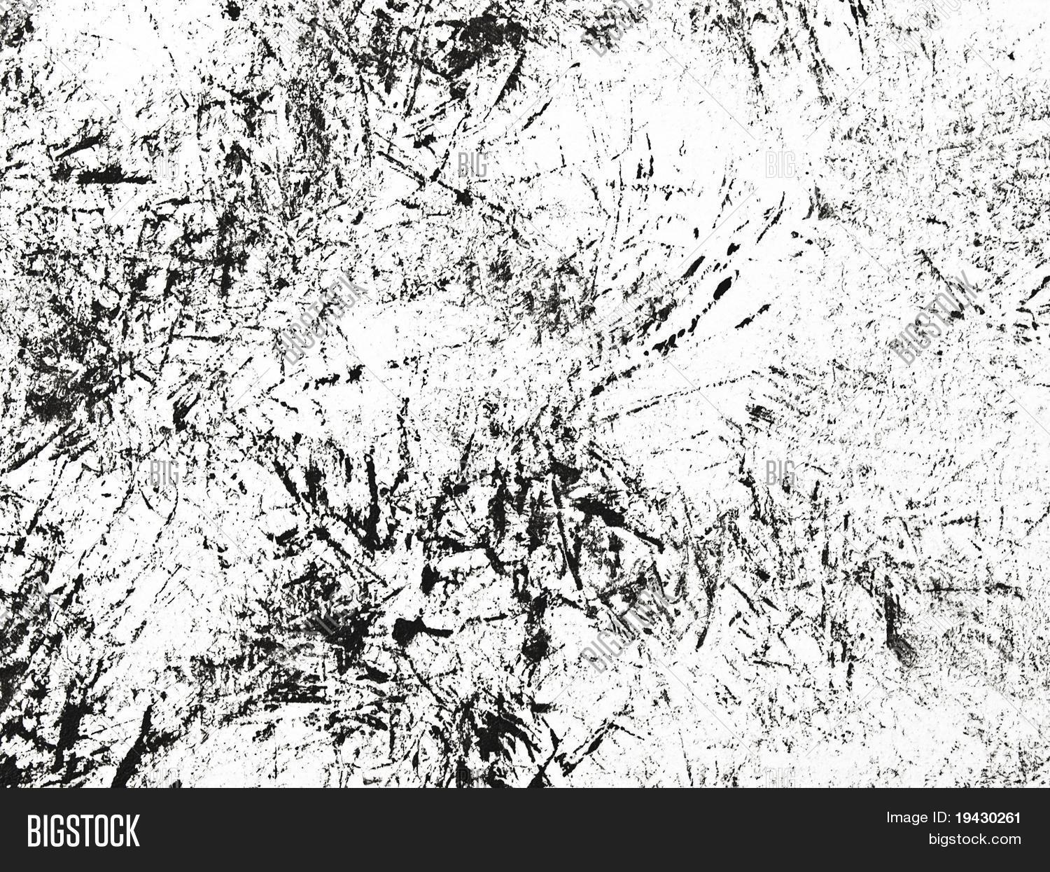 Dry Brush, Brush Image & Photo (Free Trial) | Bigstock