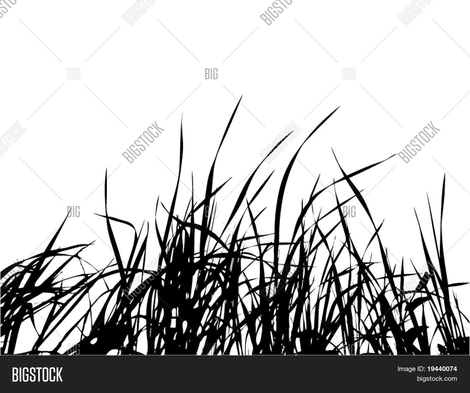 Grass Vector Vector And Photo Free Trial Bigstock