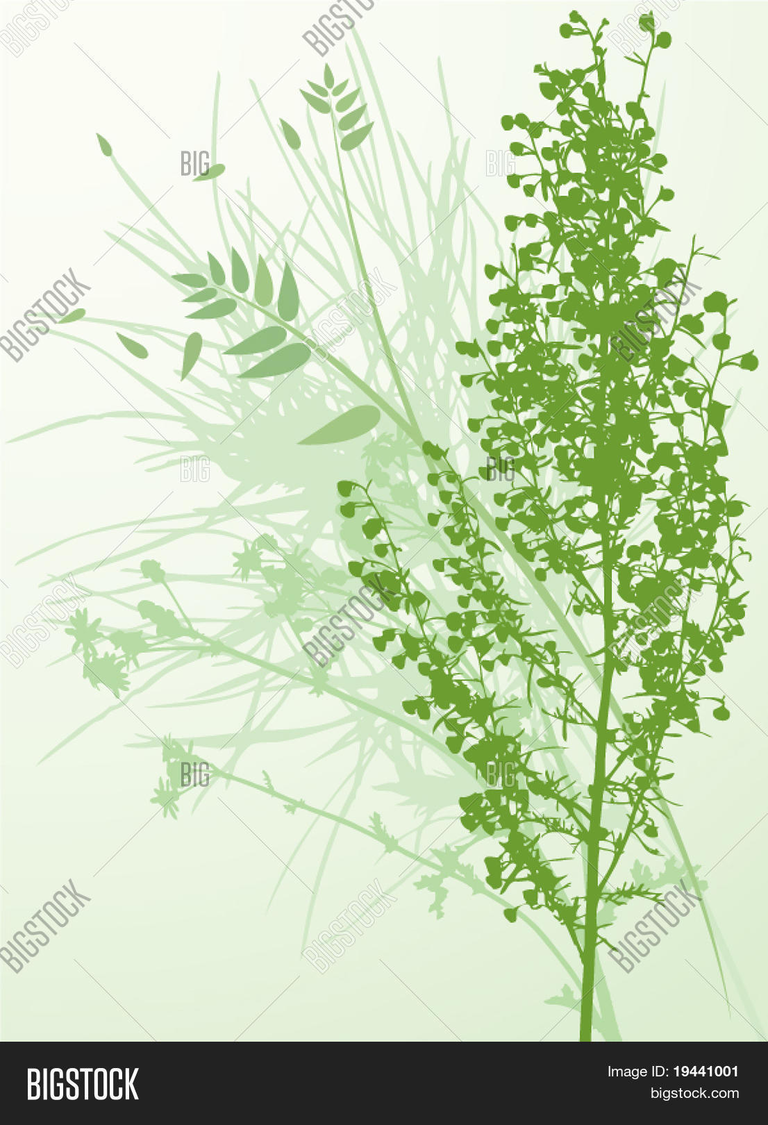 Natural Green Vector & Photo (Free Trial) | Bigstock