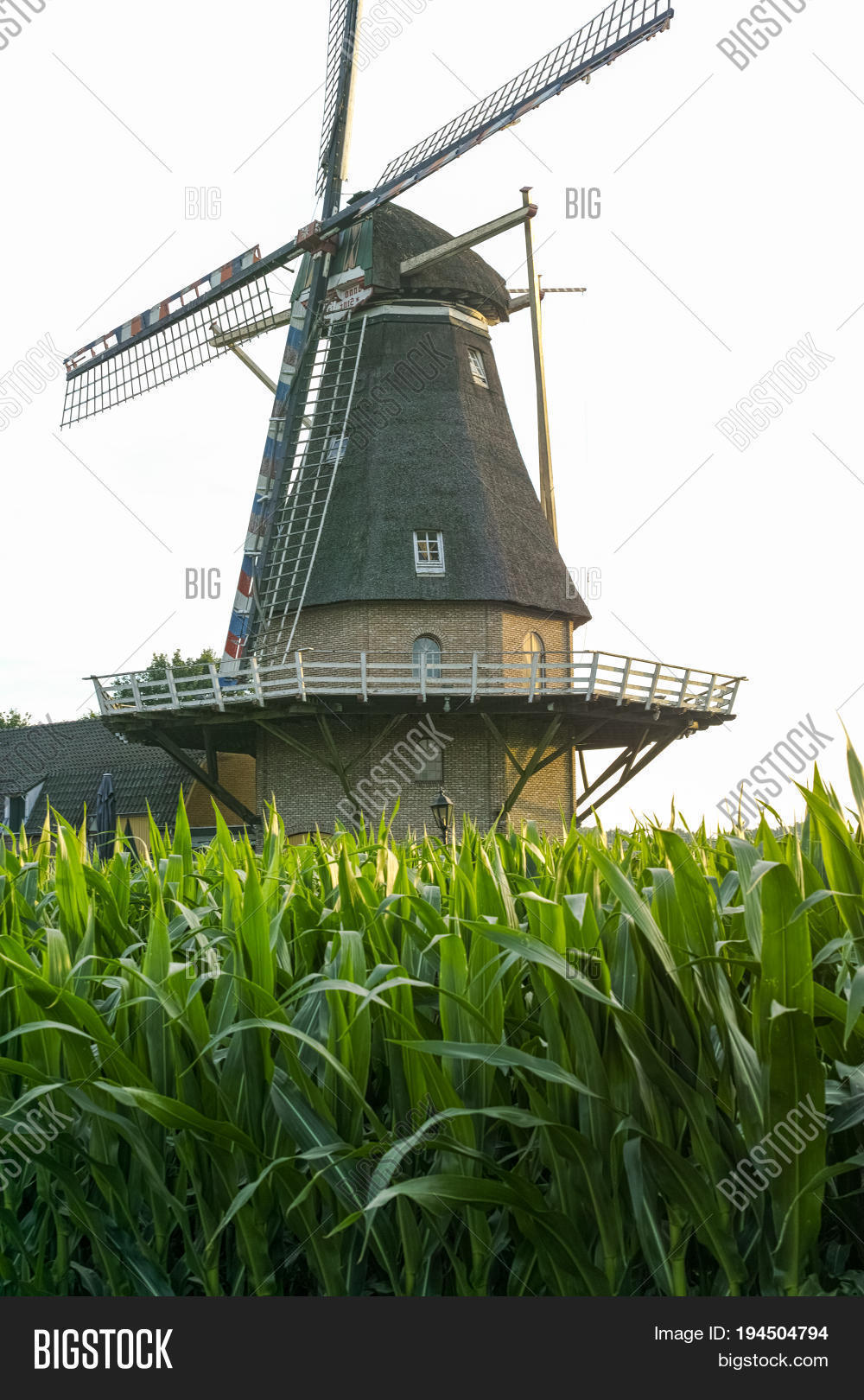Dutch Windmill Small Image & Photo (Free Trial) | Bigstock
