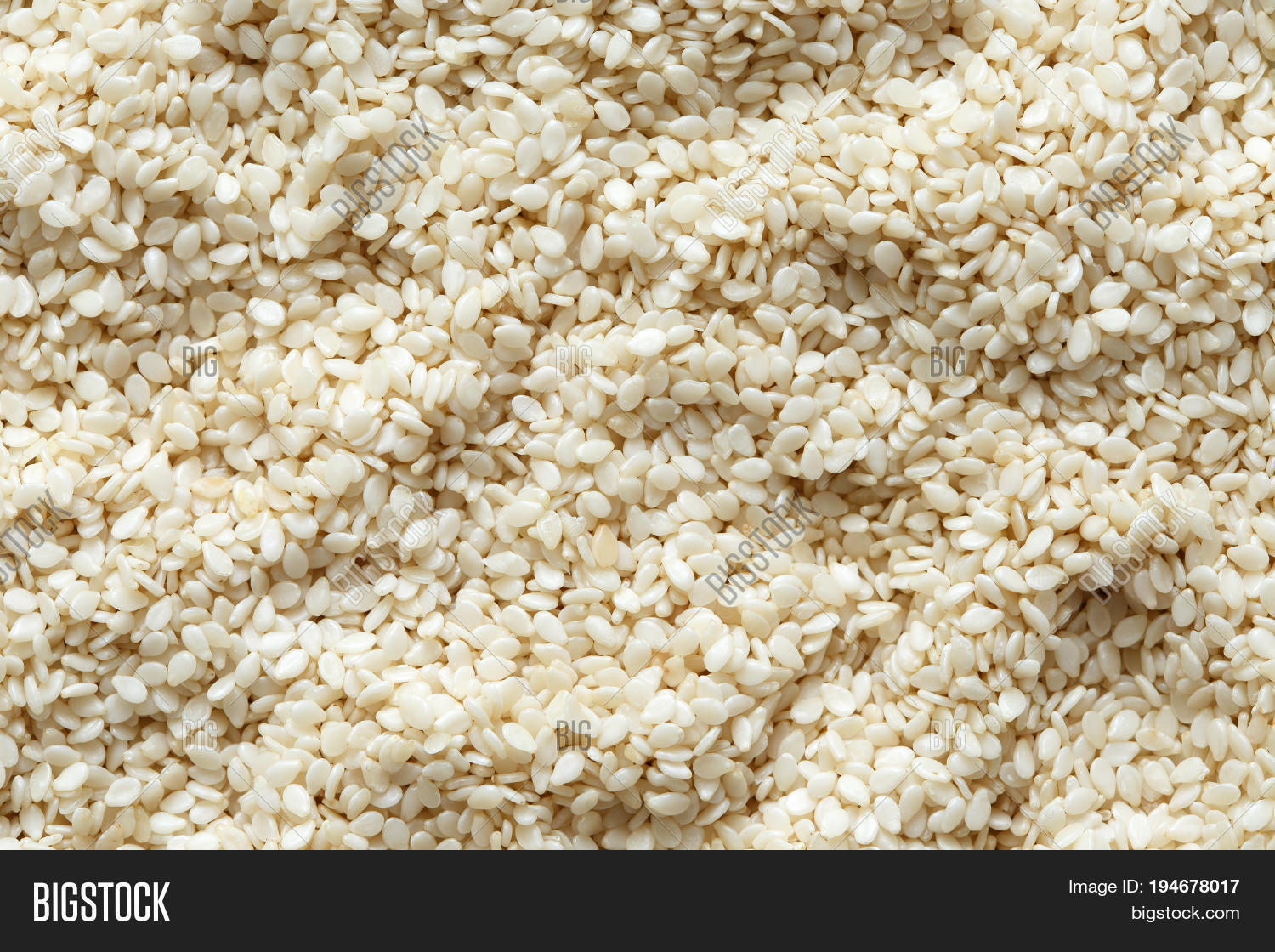 Light Background Image & Photo (Free Trial) | Bigstock