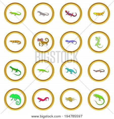 Lizard Icons Circle Vector & Photo (Free Trial) | Bigstock