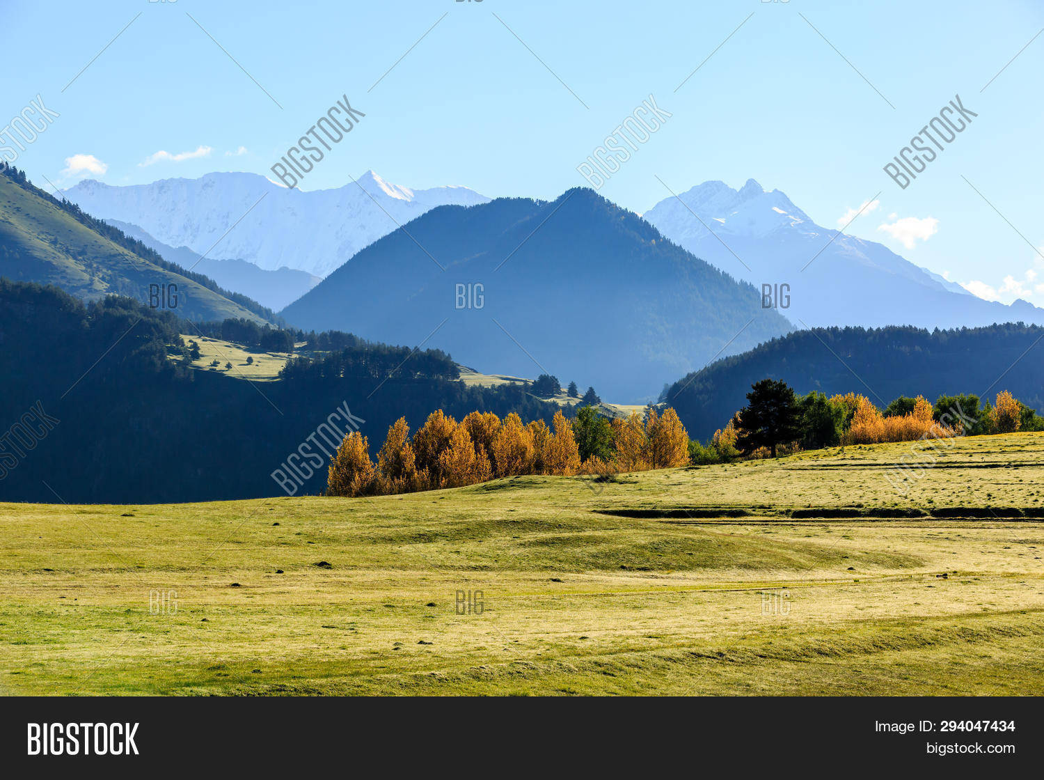 Early Morning Green Image & Photo (Free Trial) | Bigstock