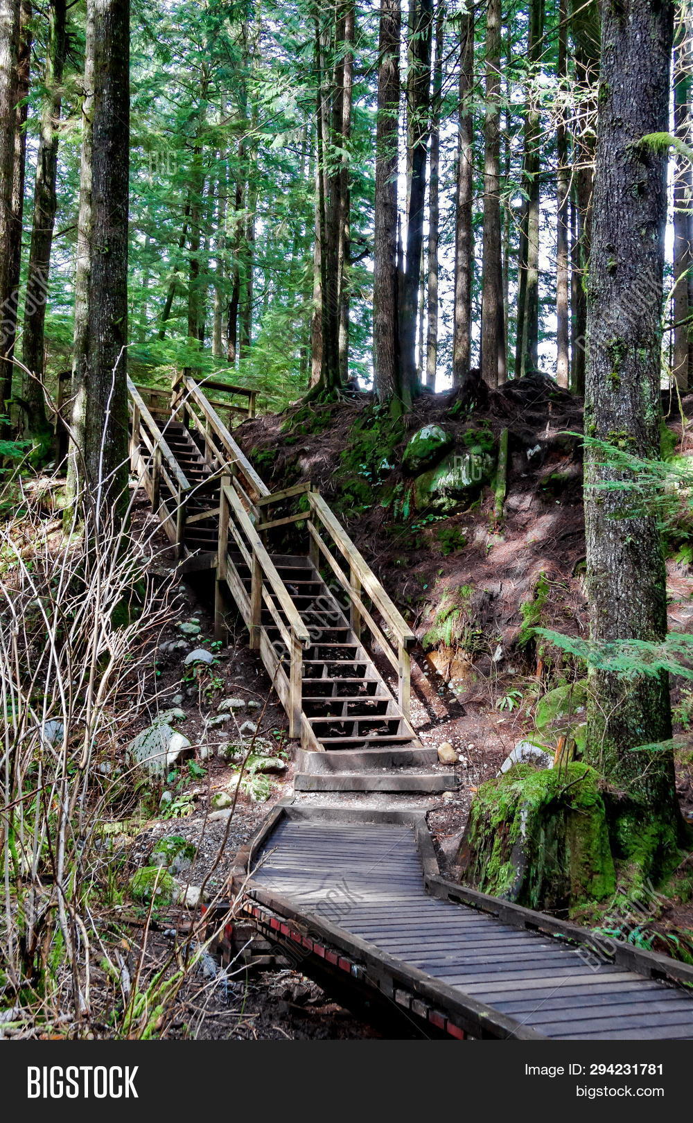 Wooden Walkway Image & Photo (Free Trial) | Bigstock