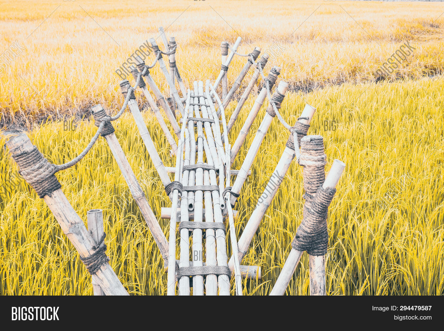Bamboo Bridge Image & Photo (Free Trial) | Bigstock