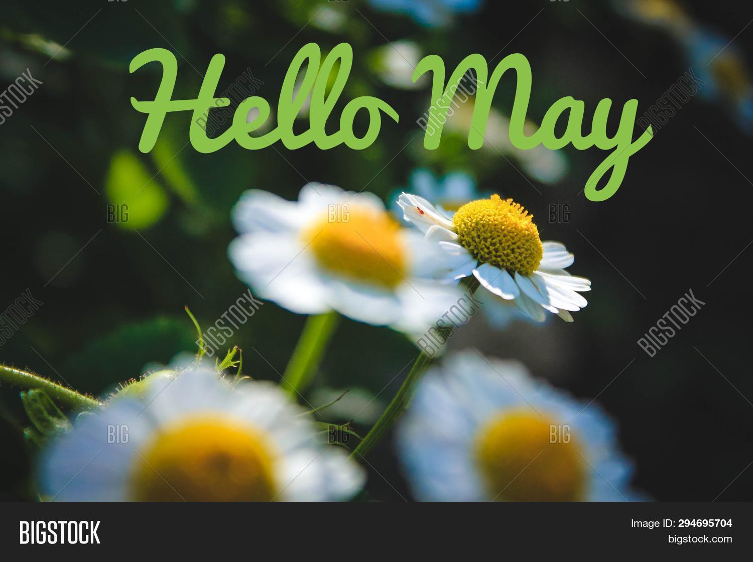 Banner Hello May. Image & Photo (Free Trial) | Bigstock