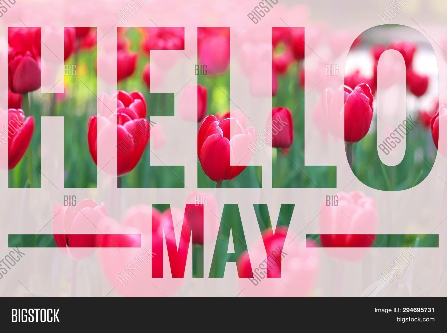 Banner Hello May. Image & Photo (Free Trial) | Bigstock