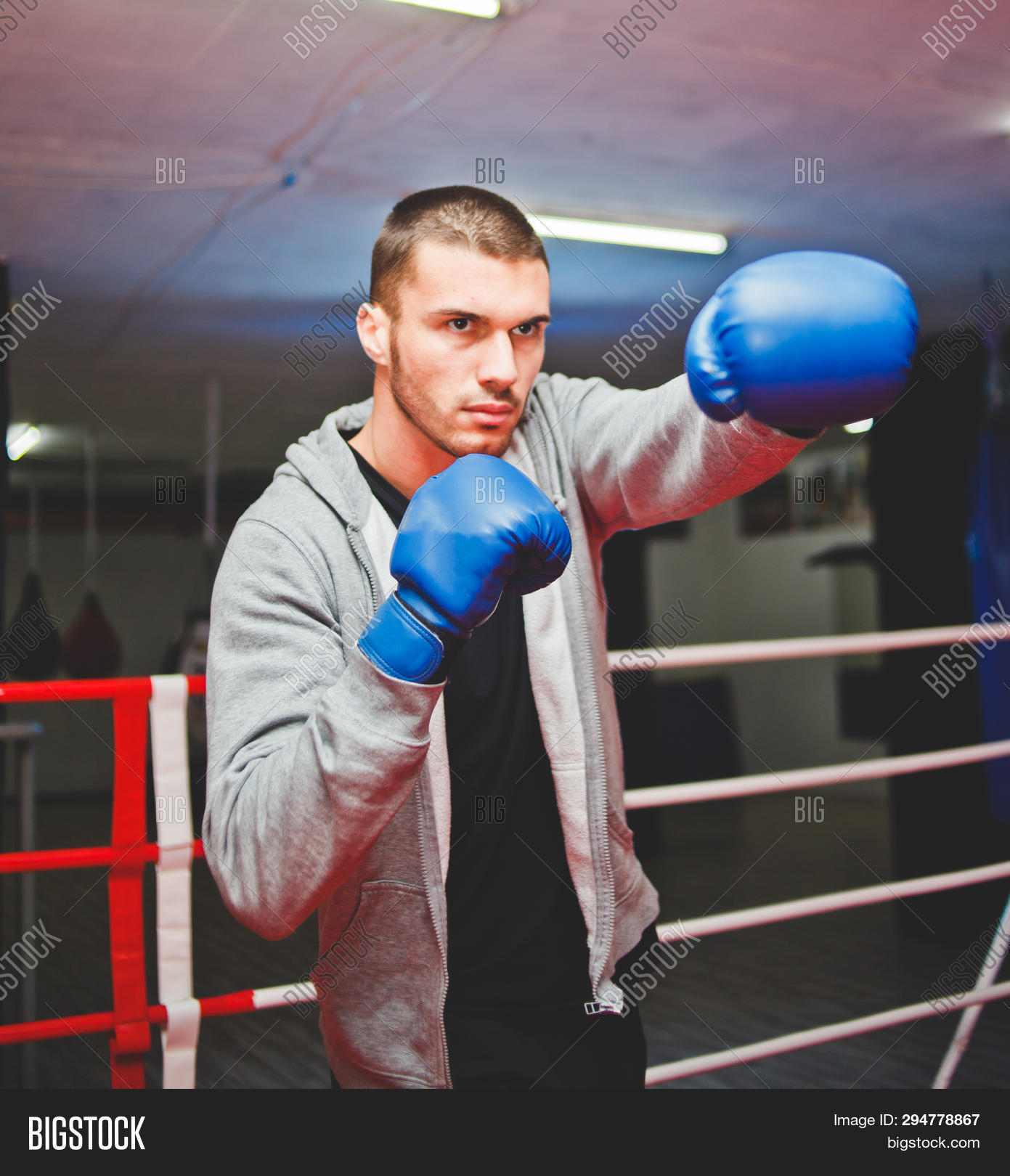 Sports Guy Boxer Image & Photo (Free Trial) | Bigstock