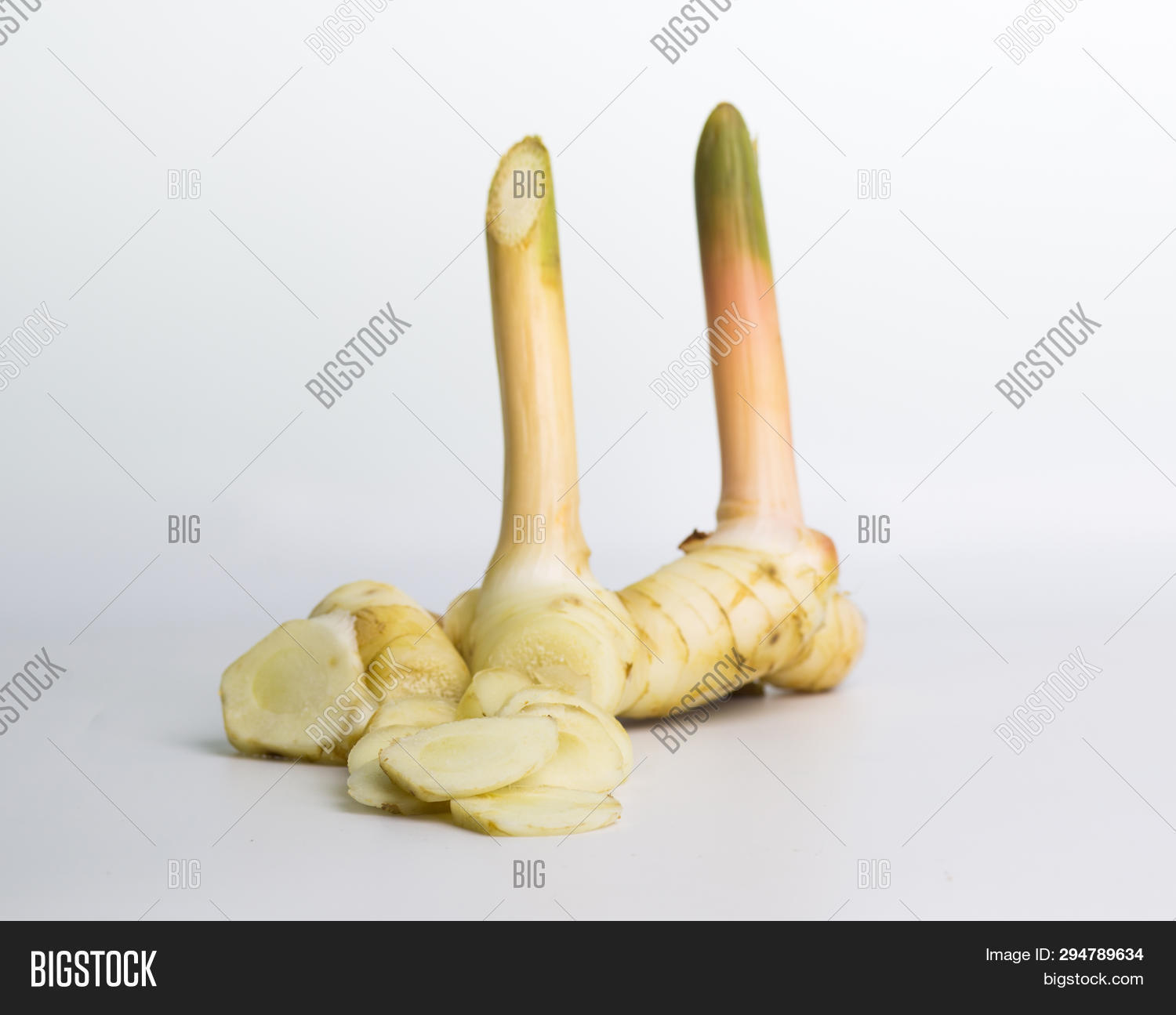 Galangal Isolated On Image & Photo (Free Trial) | Bigstock