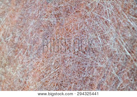 Fiberglass Filament Image & Photo (Free Trial) | Bigstock