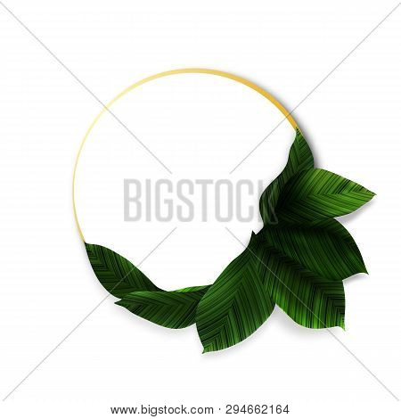 Vector Greenery Vector & Photo (Free Trial) | Bigstock