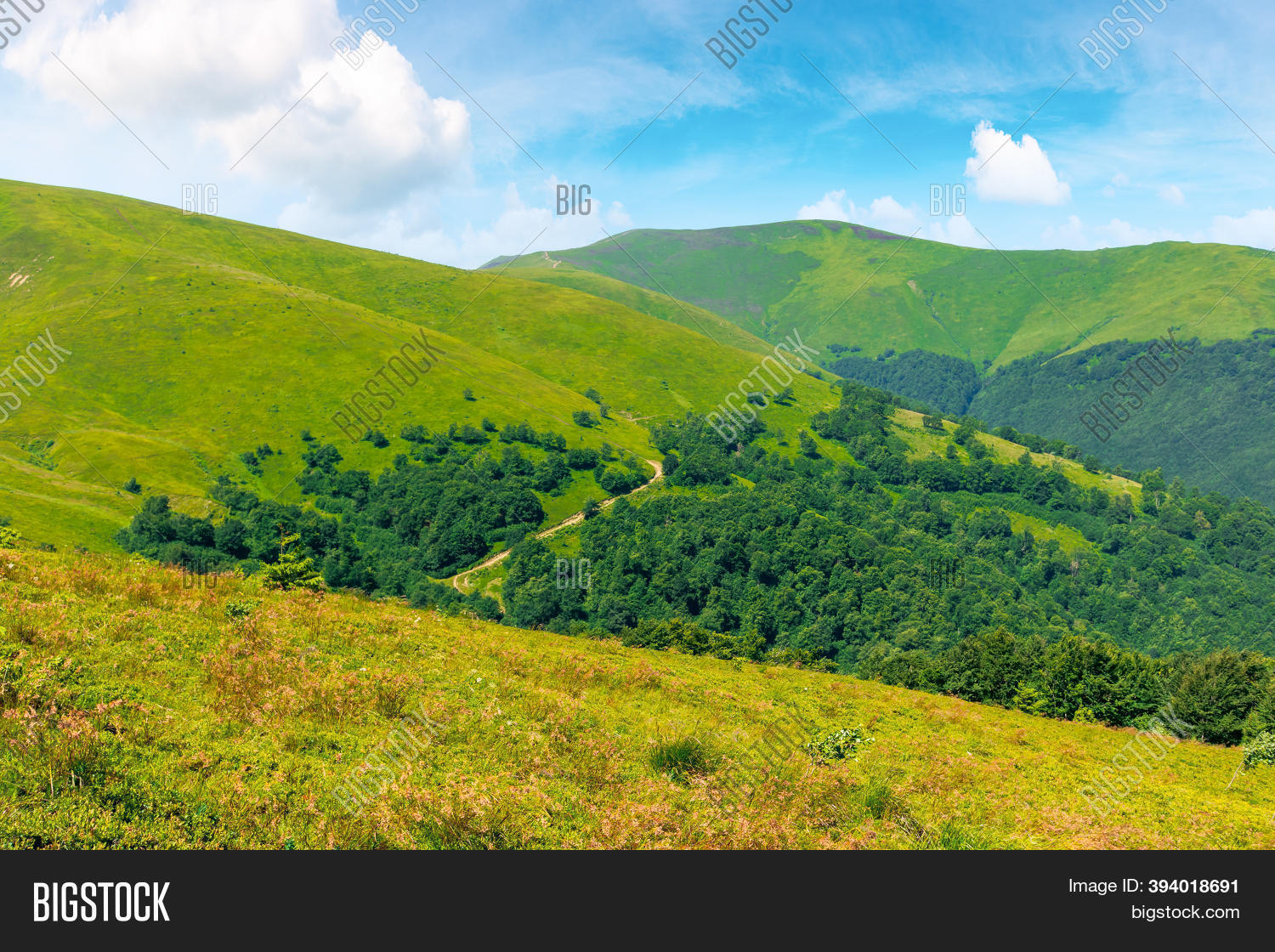 Alpine Scenery Image & Photo (Free Trial) | Bigstock