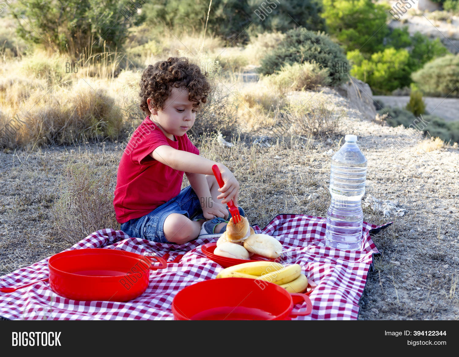 Boy On Picnic Prodding Image & Photo (Free Trial) | Bigstock