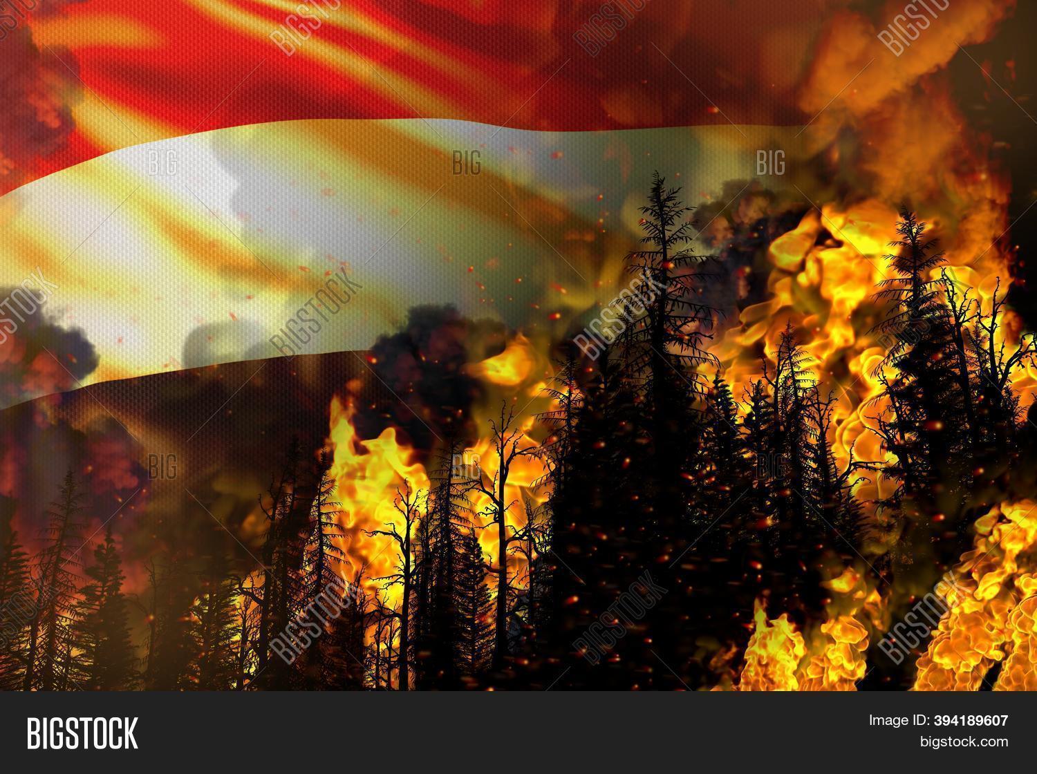 Big Forest Fire Fight Image & Photo (Free Trial) | Bigstock