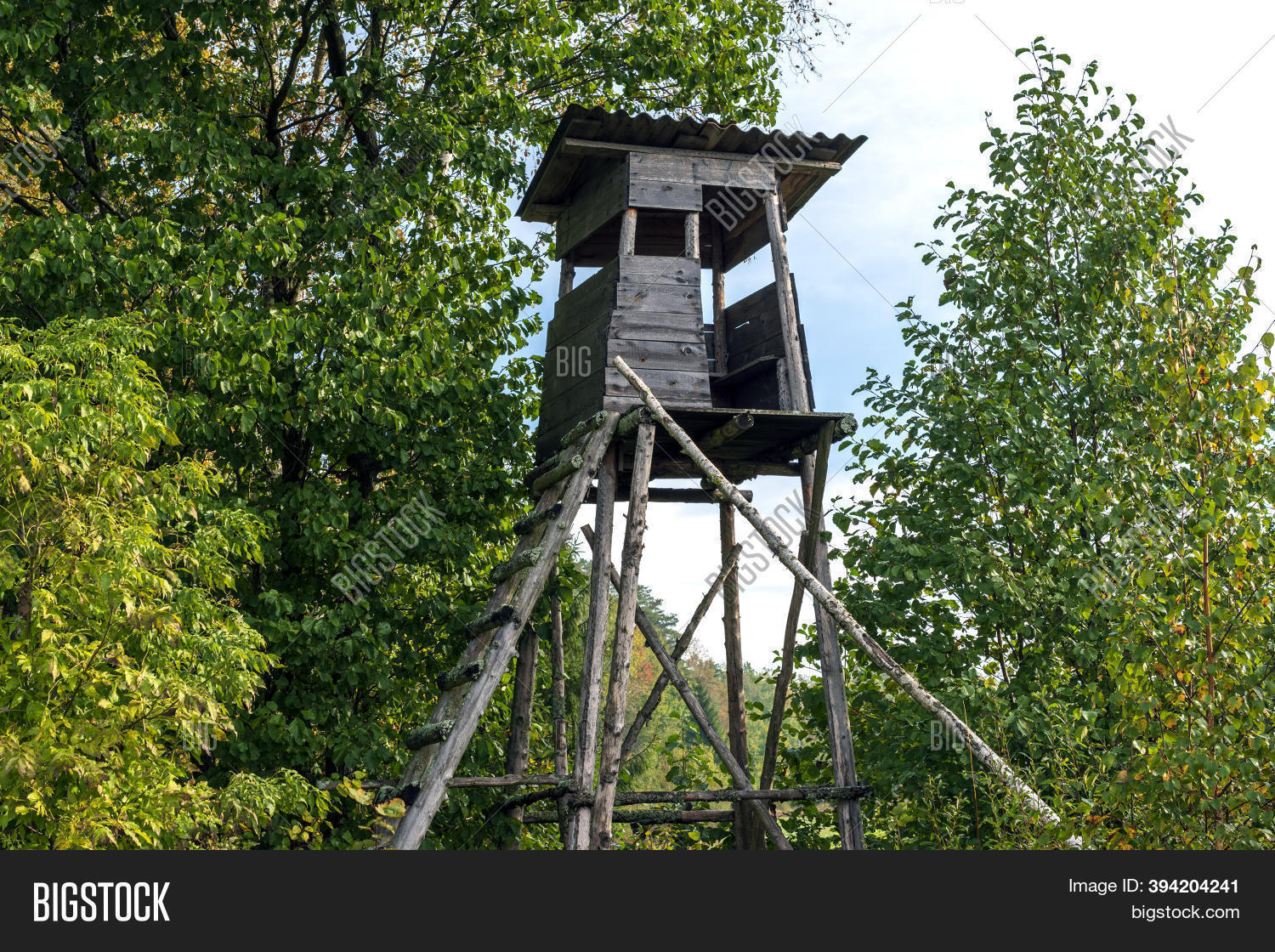 Hunters Hut Forest. Image & Photo (Free Trial) | Bigstock