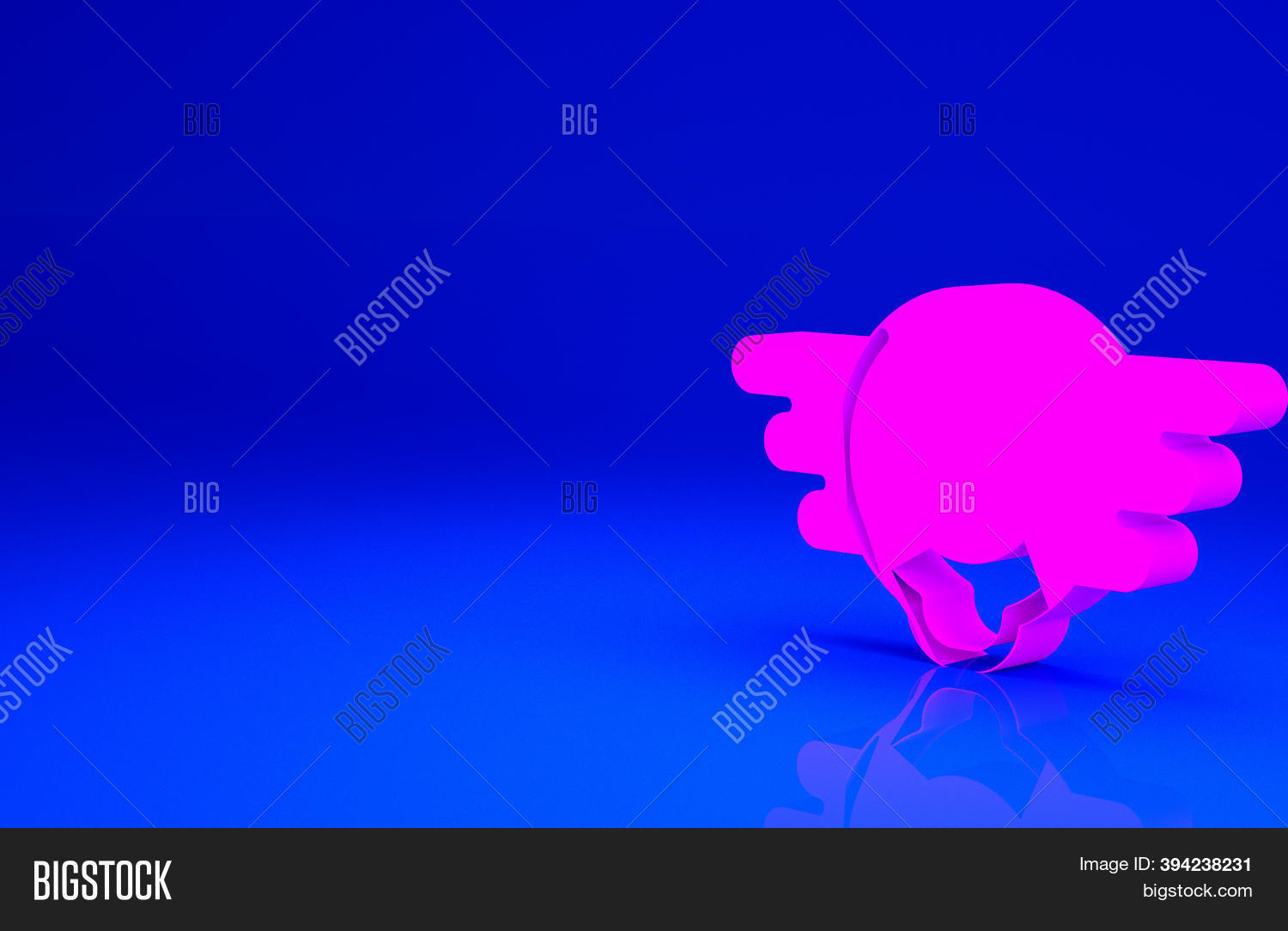 Pink Aviation Emblem Image & Photo (Free Trial) | Bigstock