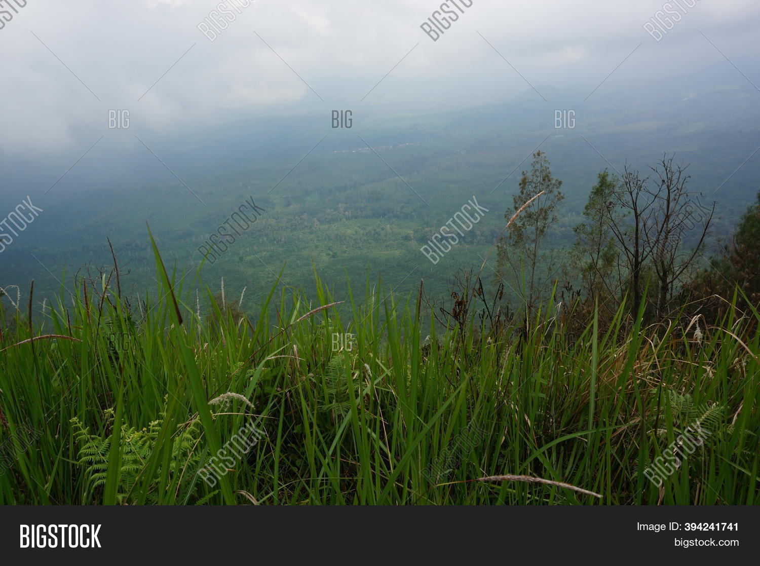 Plateau Few Trees Image & Photo (Free Trial) | Bigstock