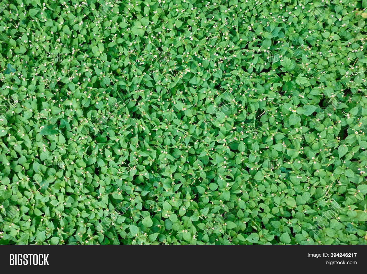 Beautiful Empty Image & Photo (Free Trial) | Bigstock