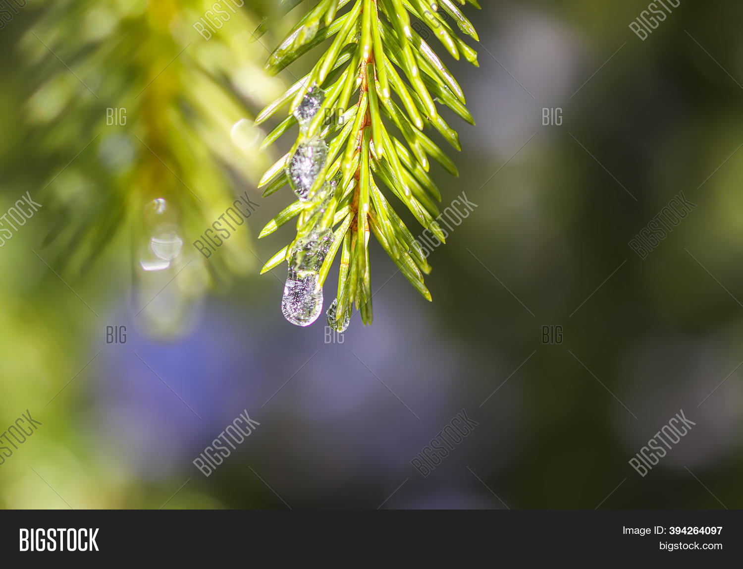 Melting Snow. Water Image & Photo (Free Trial) | Bigstock