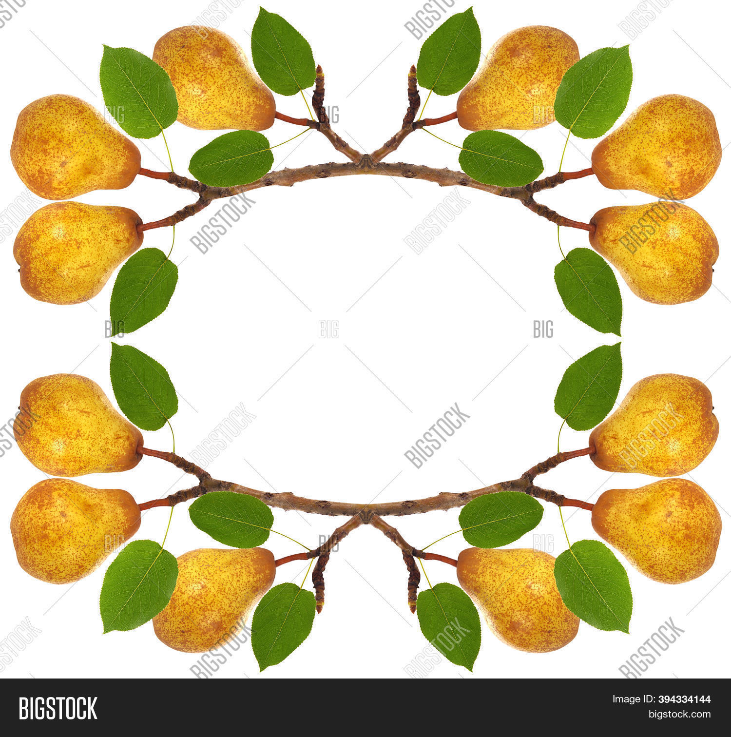 Frame Pear Tree Branch Image & Photo (Free Trial) | Bigstock