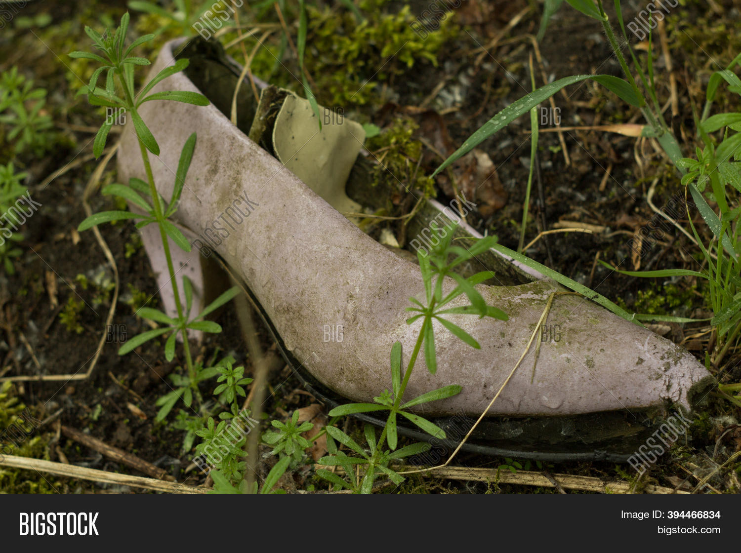 Old Shoe Lost Nature. Image & Photo (Free Trial) | Bigstock