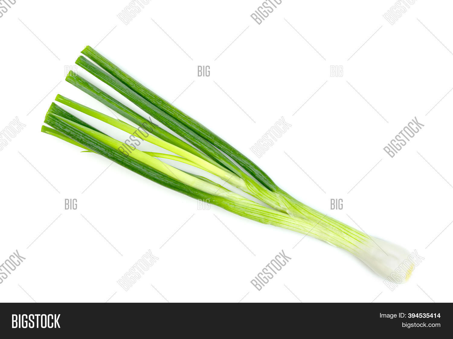 Leaf Spring Onion Image & Photo (Free Trial) | Bigstock