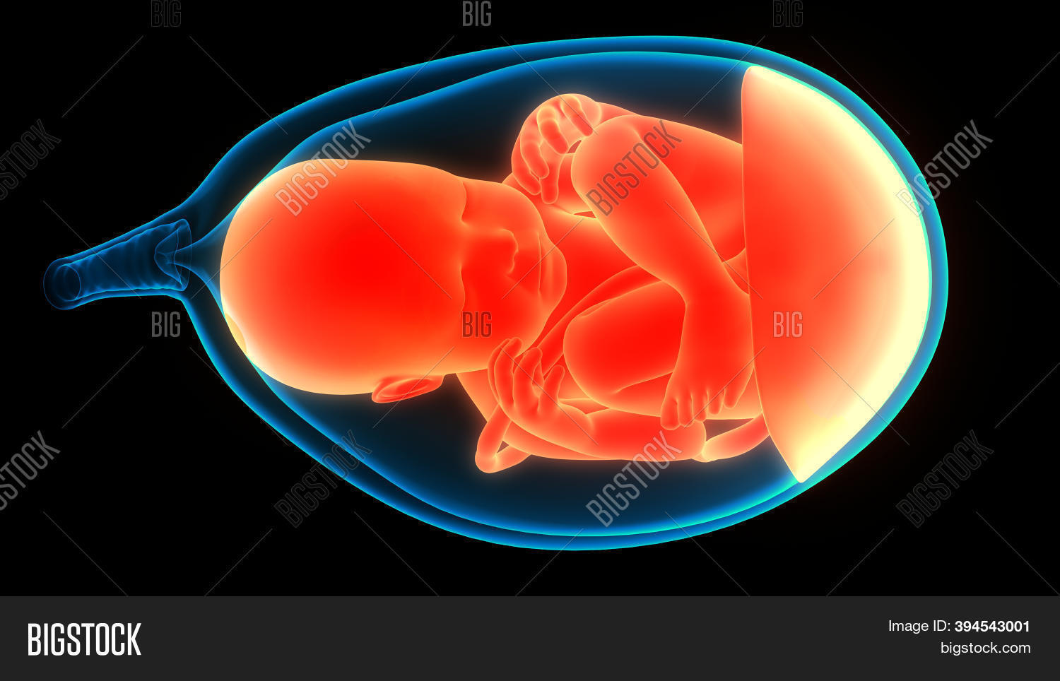 3d Illustration Image & Photo (Free Trial) | Bigstock