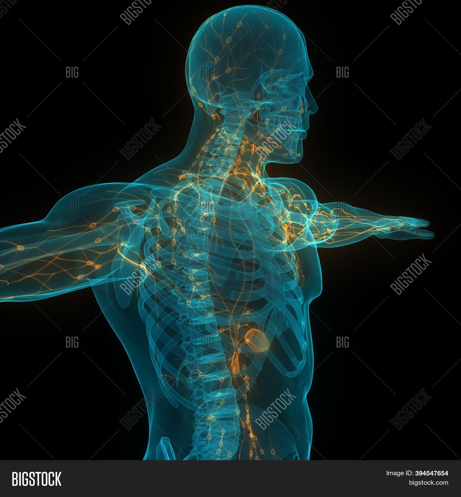 3d Illustration Image & Photo (Free Trial) | Bigstock