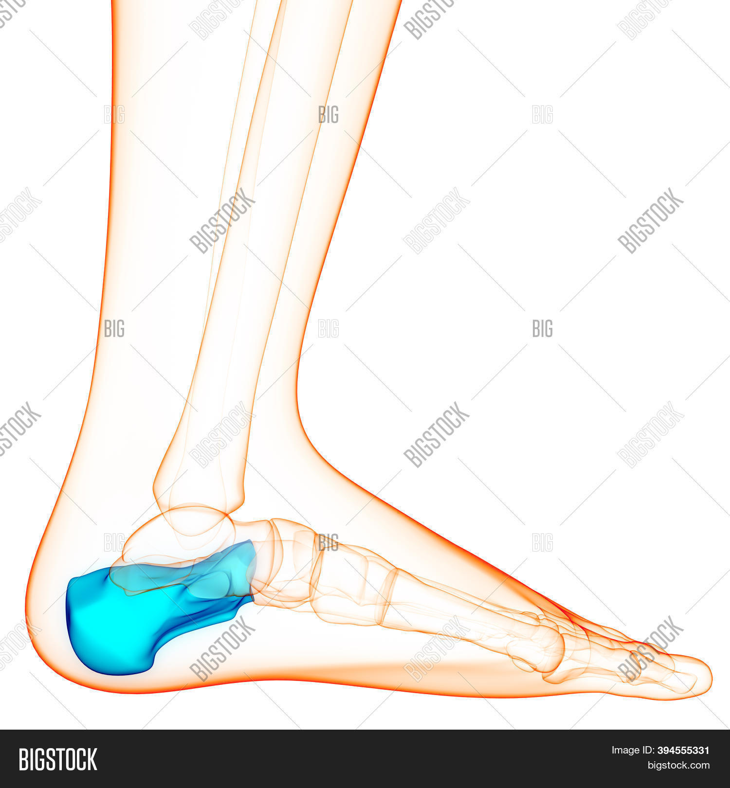 3d Illustration Image & Photo (Free Trial) | Bigstock