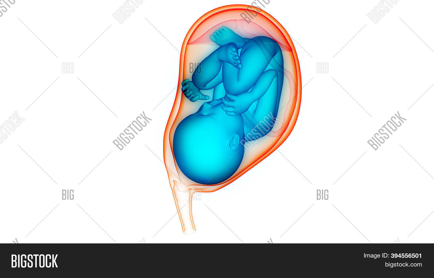 3d Illustration Image & Photo (Free Trial) | Bigstock