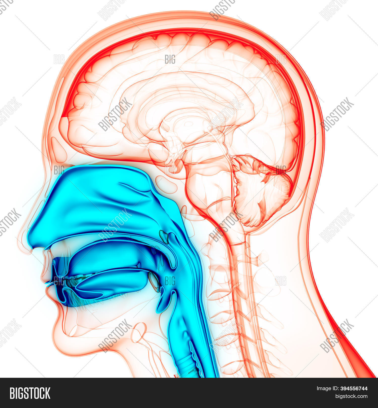 3d Illustration Image & Photo (Free Trial) | Bigstock