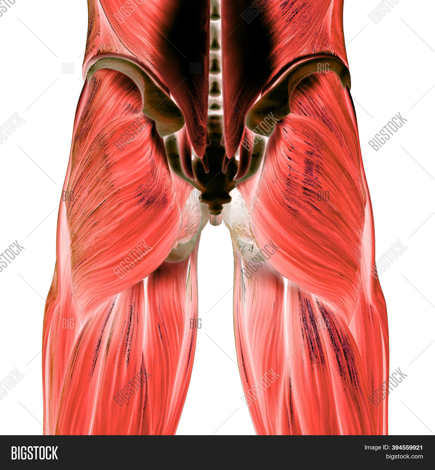 3d Illustration Image & Photo (Free Trial) | Bigstock