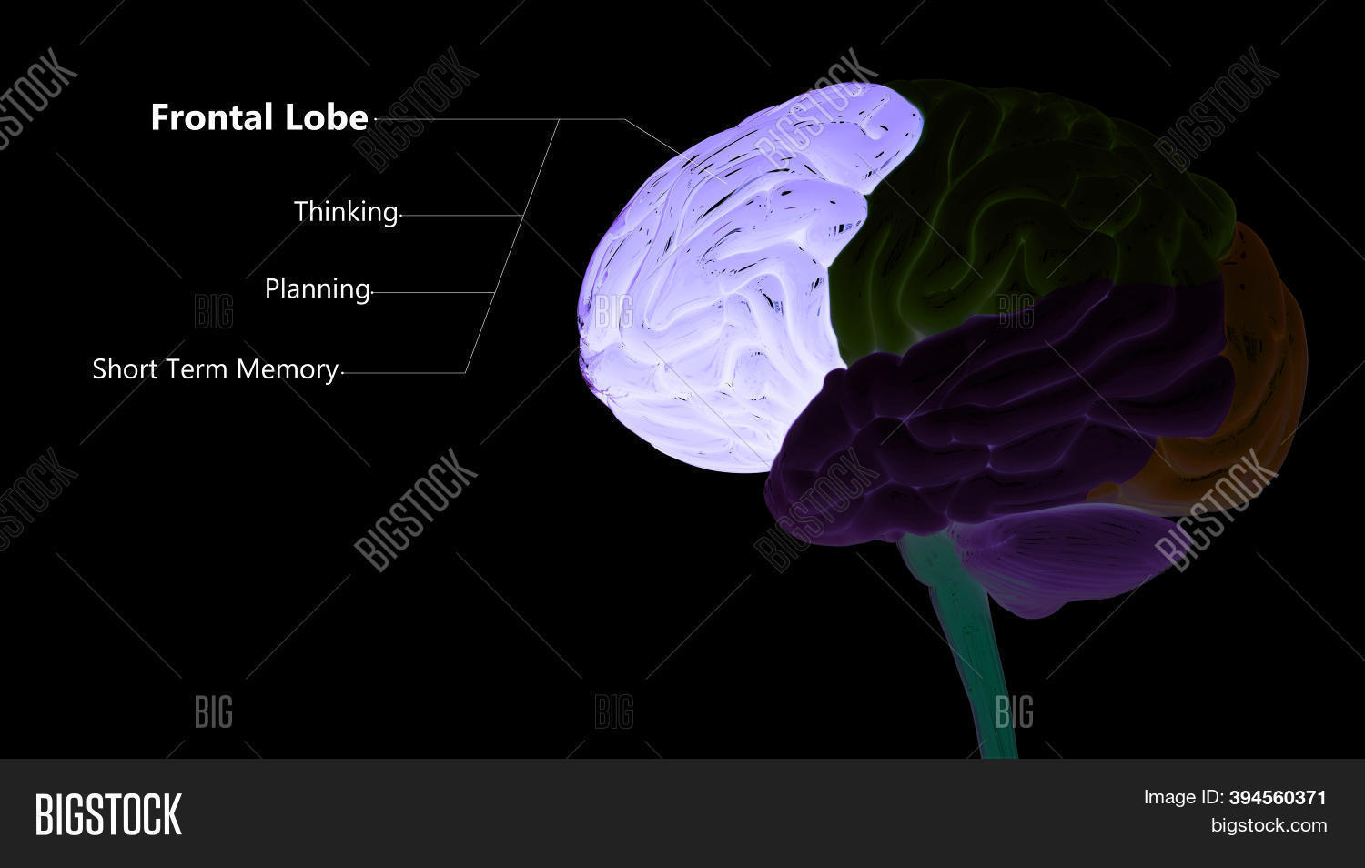 3d Illustration Image & Photo (Free Trial) | Bigstock