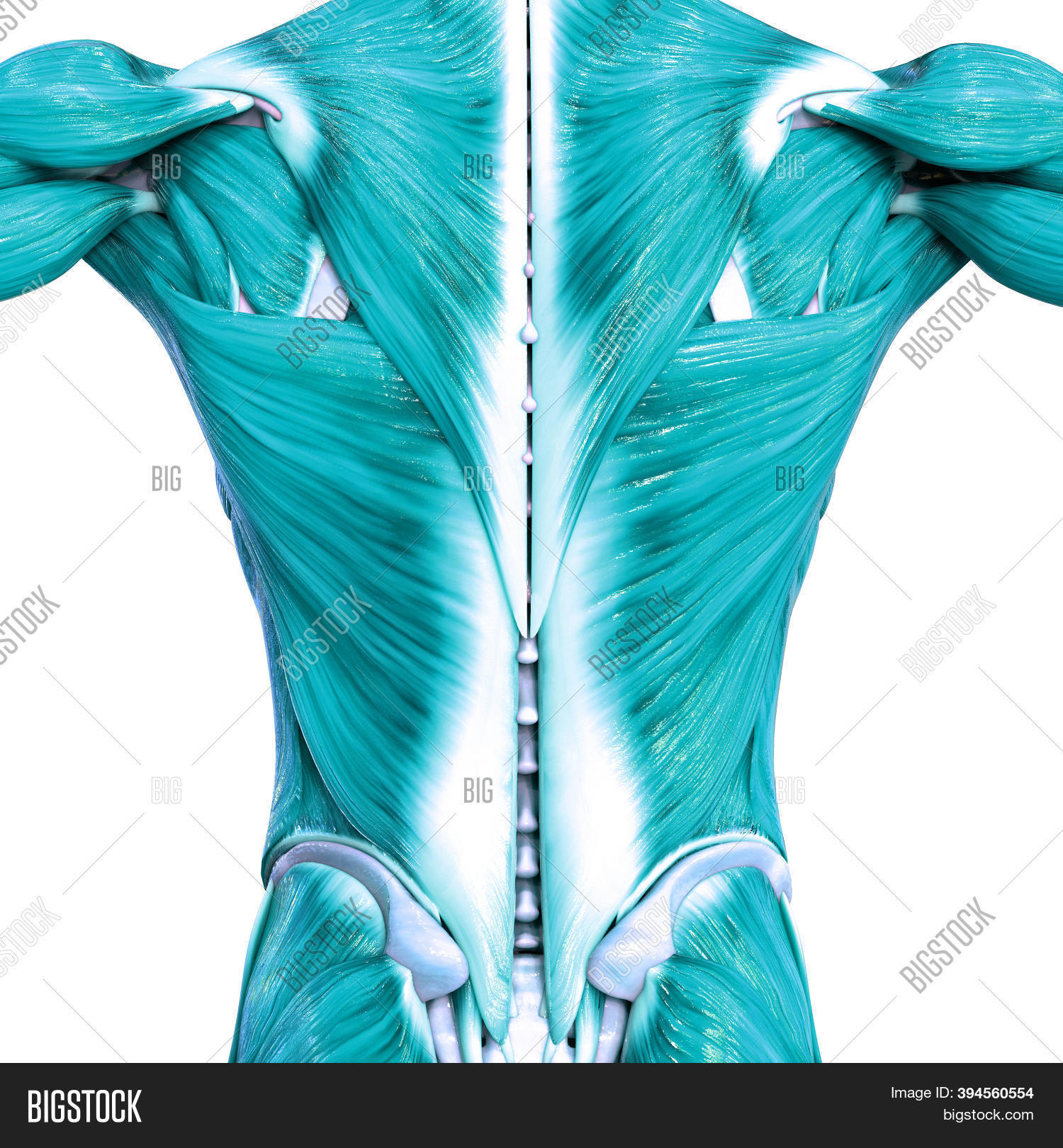 3d Illustration Image & Photo (Free Trial) | Bigstock