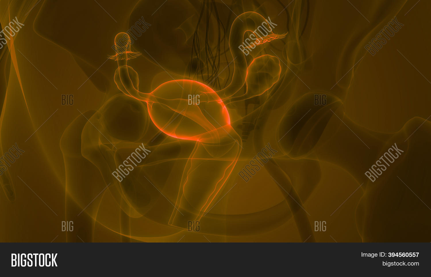 3d Illustration Image & Photo (Free Trial) | Bigstock