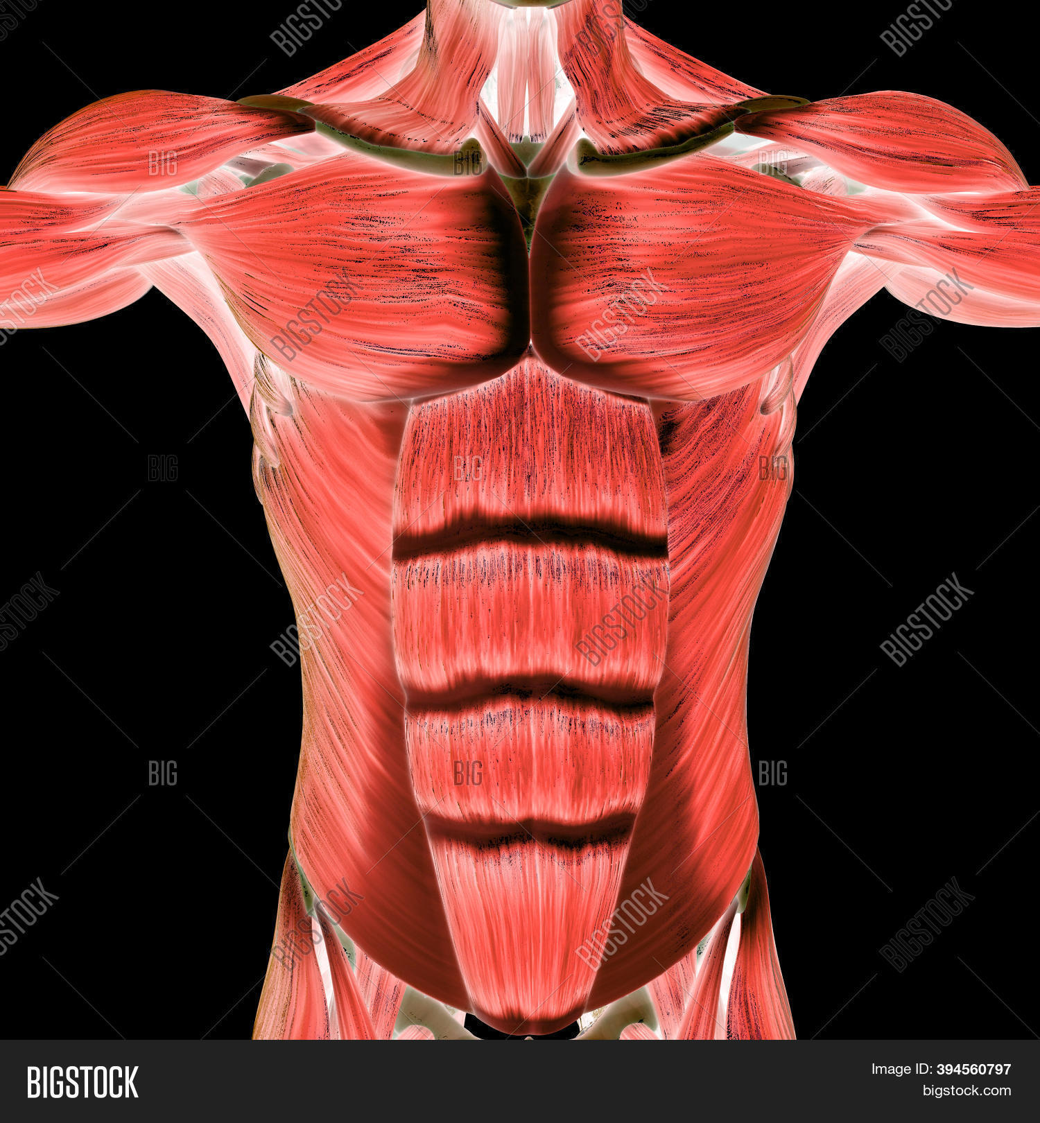 3d Illustration Image & Photo (Free Trial) | Bigstock
