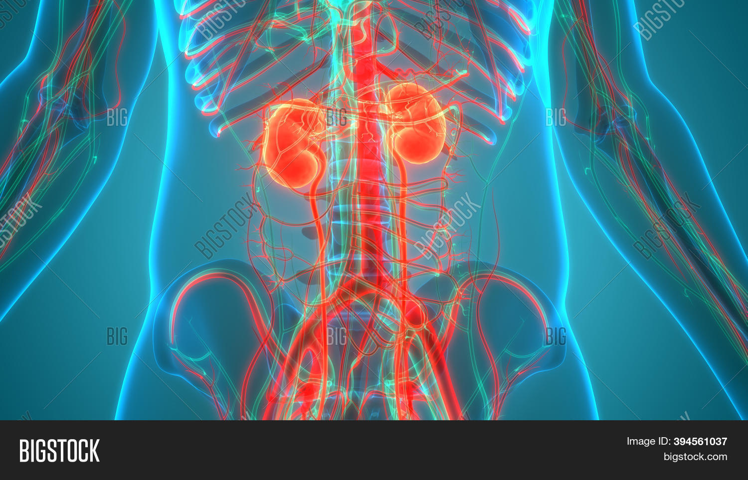 3d Illustration Image & Photo (Free Trial) | Bigstock